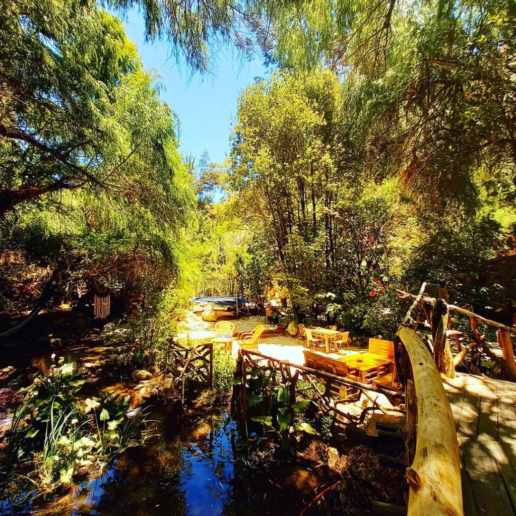 El Bosque - Restaurant en Horcon - Valle del Elqui