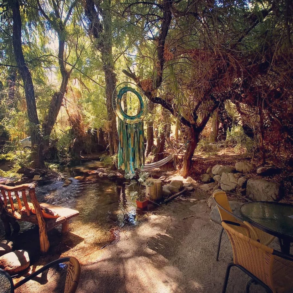 El Bosque - Restaurant en Horcon - Valle del Elqui