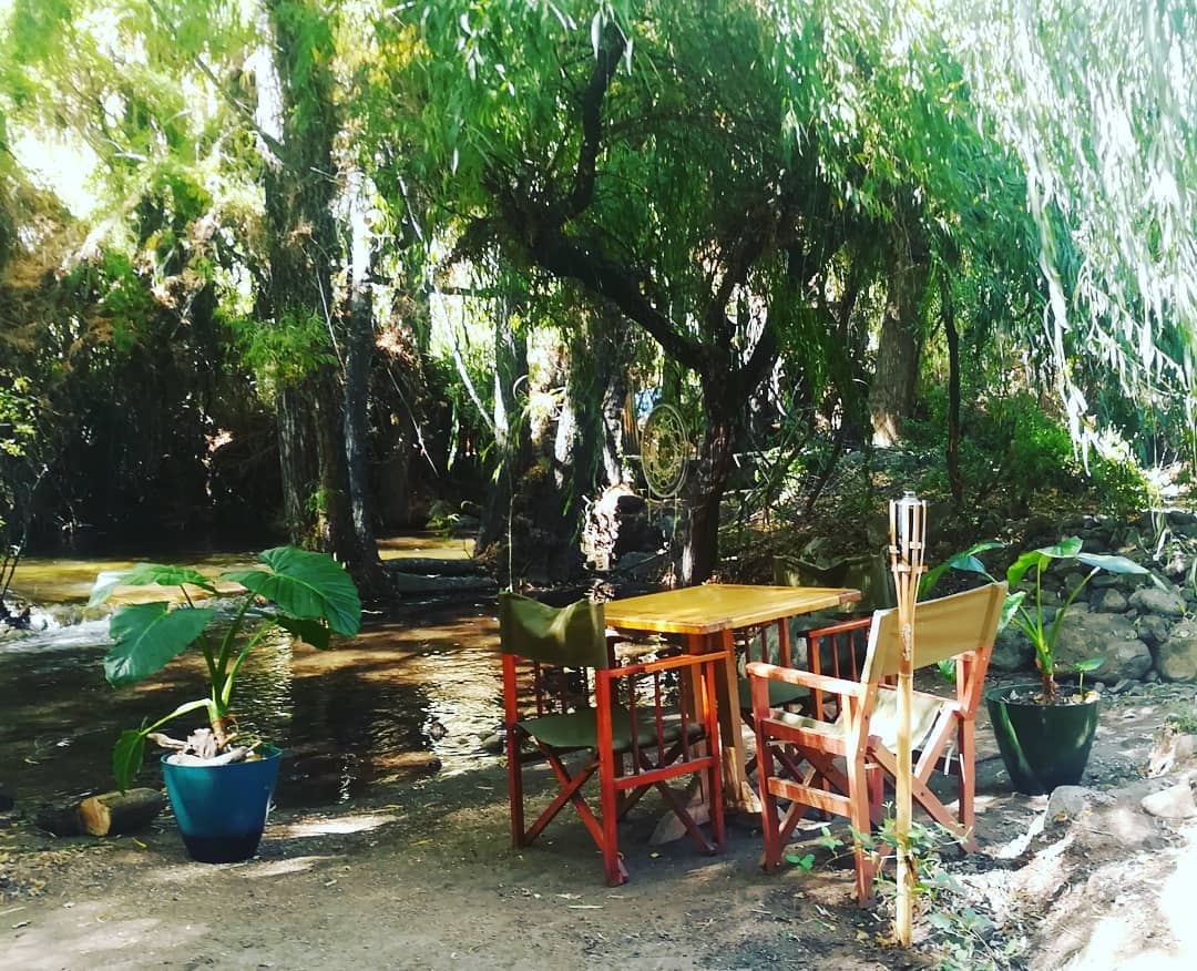 El Bosque - Restaurant en Horcon - Valle del Elqui