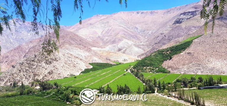 Valle del Elqui - Turismo Elqui